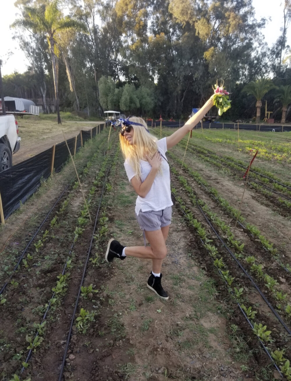 About - Elaine Culotti