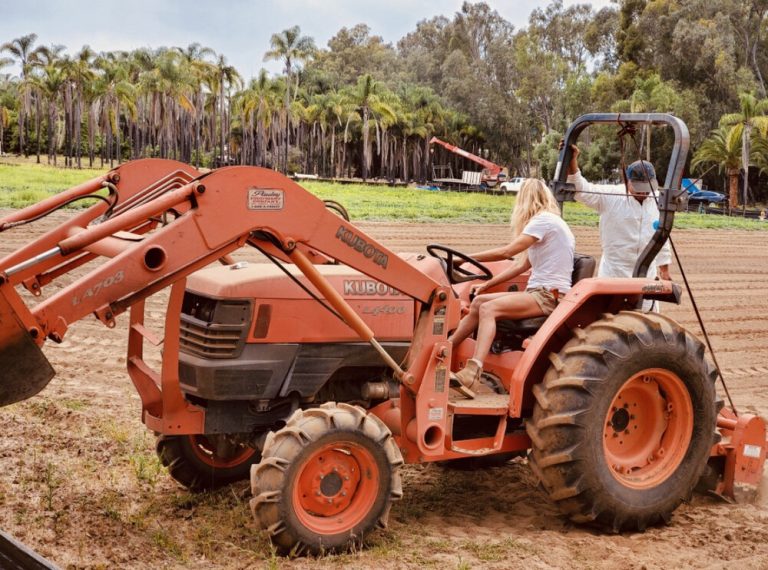 About - Elaine Culotti