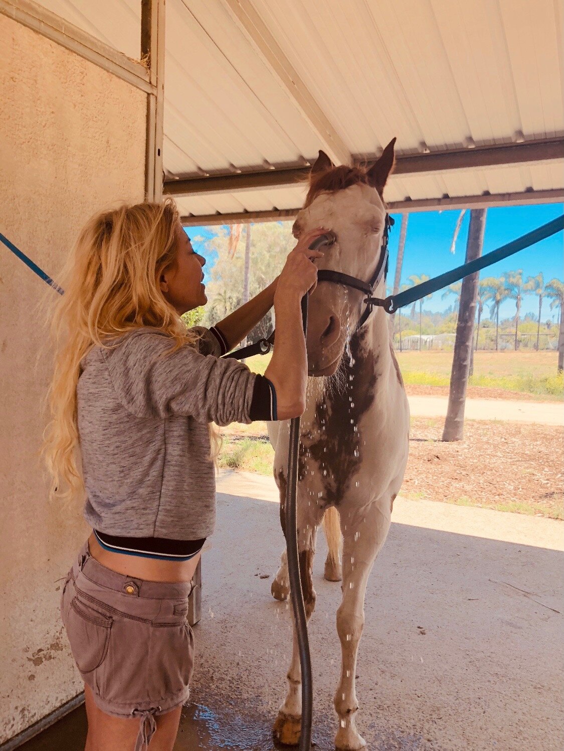 About - Elaine Culotti